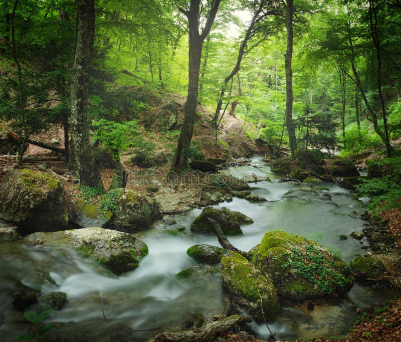 Forest waterfall stock photo. Image of river, waterfall - 40653954