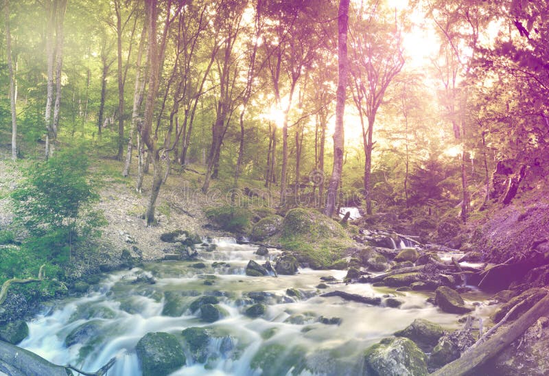 Forest waterfall stock photo. Image of vibrant, stream - 56239340