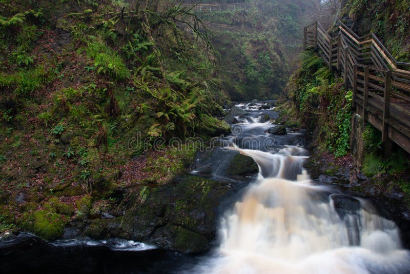 Forest Waterfall and Rocks Covered with Moss Northen Ireland Stock ...