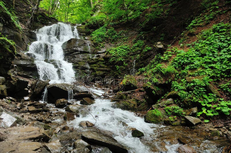 Forest waterfall and rocks stock photo. Image of background - 77835320