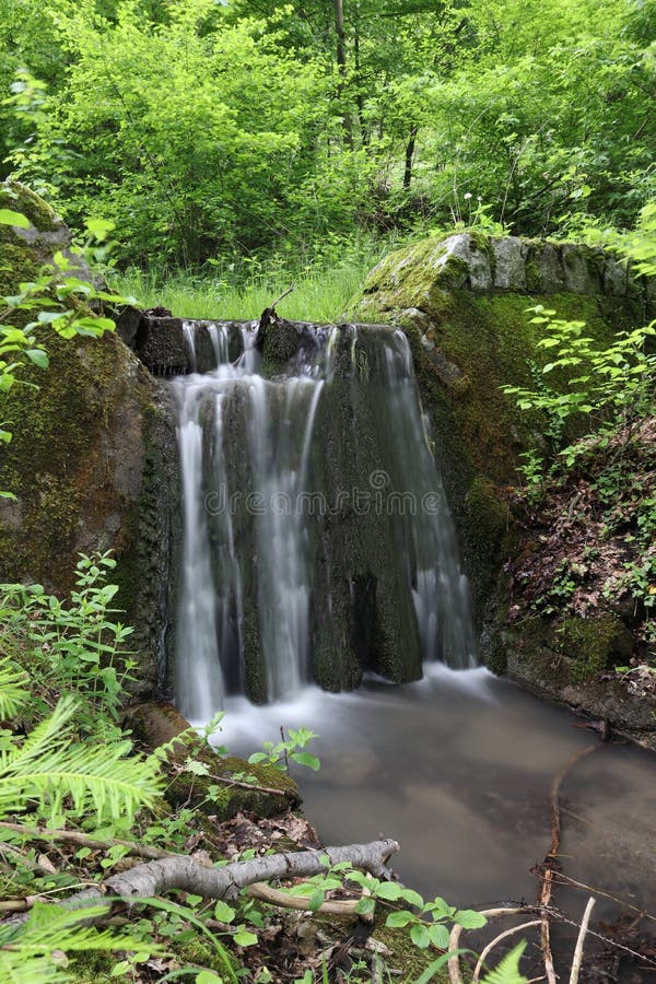 Forest Waterfall in the Spring. Focus on Waterfall, Blurred Leaves ...