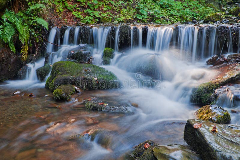 Forest Waterfall and Stones Overgrown with Moss Stock Image - Image of ...