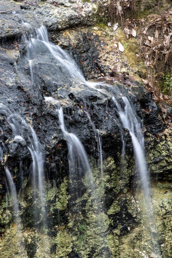 Forest waterfall stock photo. Image of rocks, boulders - 132359806