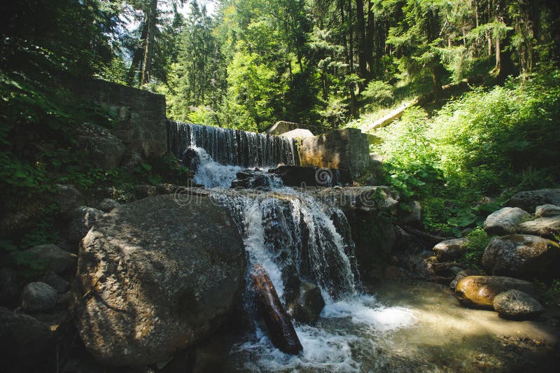 Forest Waterfall stock photo. Image of green, dawn, horizontal - 69829624