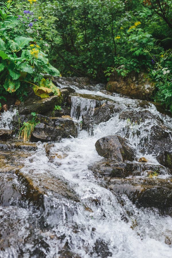 Forest Waterfall on the Whole Frame Stock Image - Image of motion ...