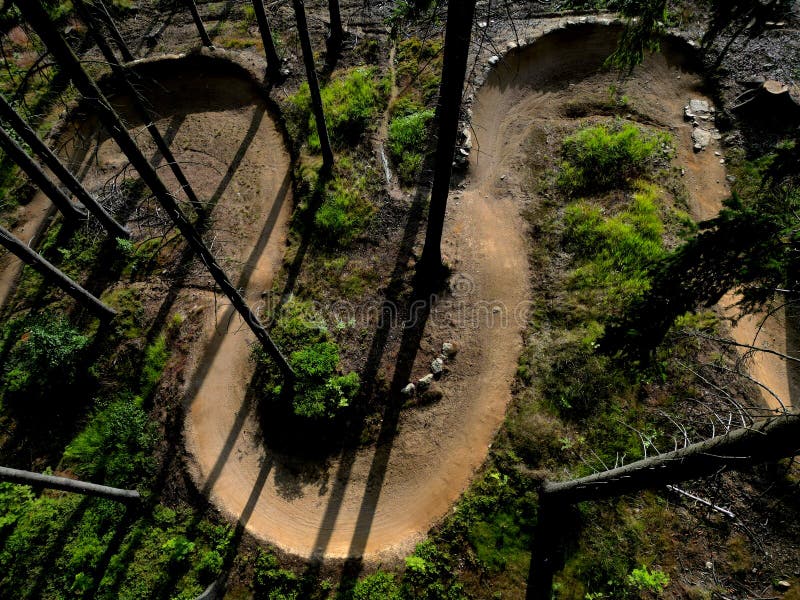 Forest in Which There is a Track for Bicycles Trail Tilted Bends One ...