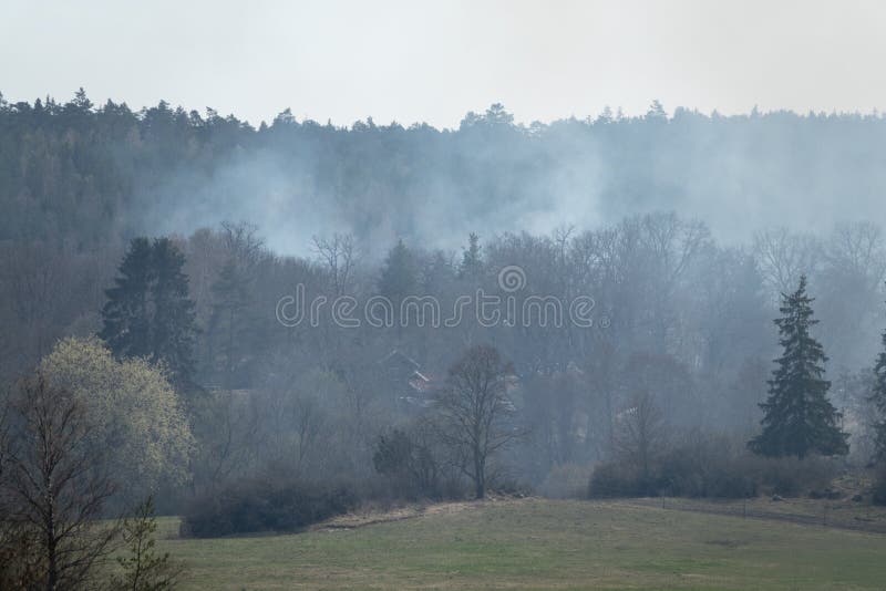 Forest Wild Fire, Nature Disaster. Stock Photo - Image of danger, fire ...