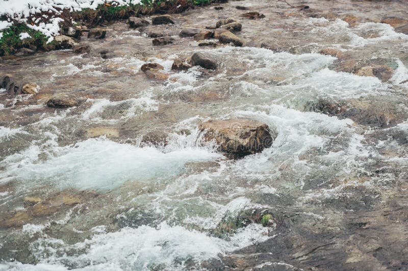 Forest Wild River View. River Forest Water Flow Stock Image - Image of ...