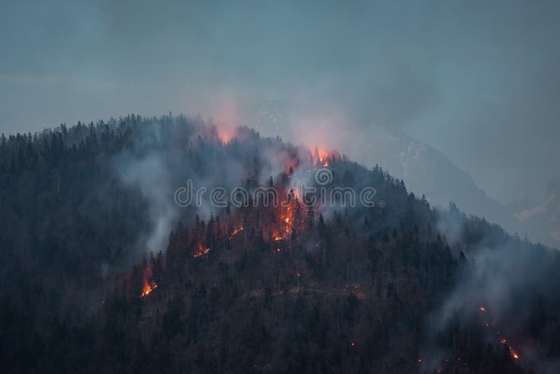 Forest wildfire at night stock photo. Image of landscape - 253304578