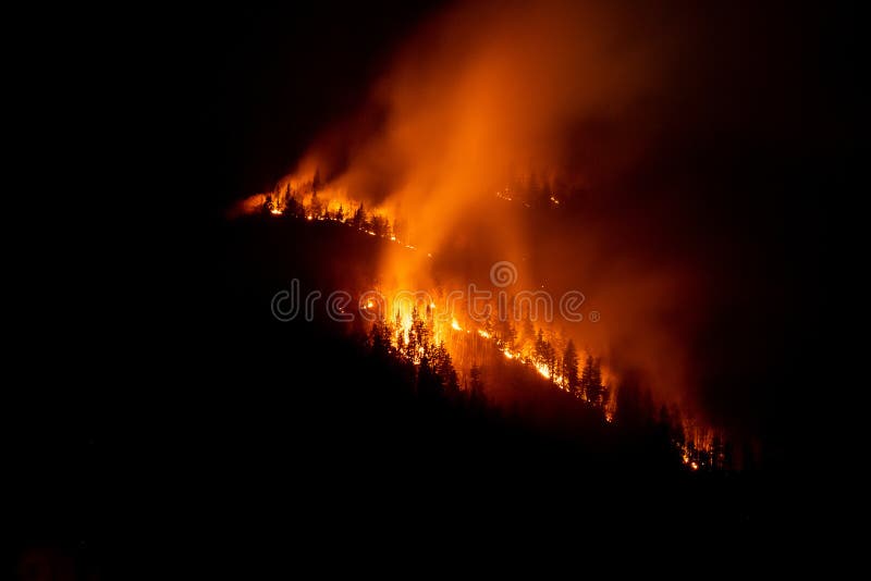Forest wildfire at night stock image. Image of emergency - 252652445