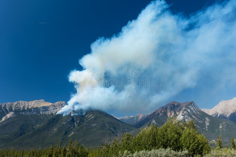 Forest Wildfire and Smoke on the Side of a Mountain Stock Image - Image ...