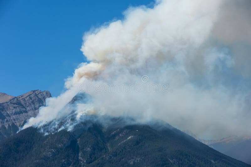 Forest Wildfire and Smoke on the Side of a Mountain Stock Image - Image ...