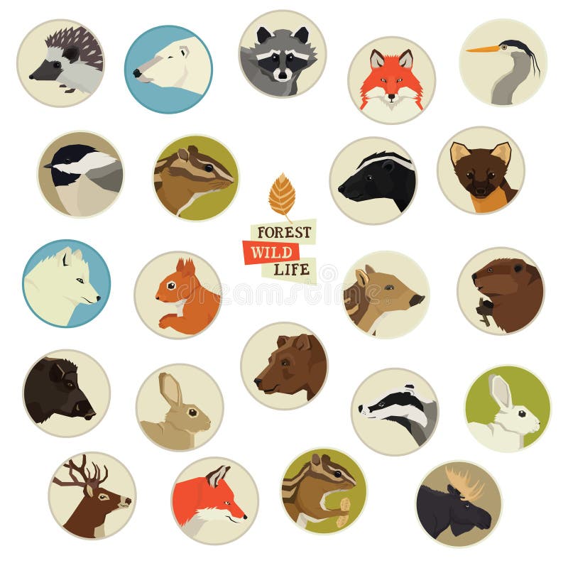 Forest Wildlife Animals Round Frames Stock Vector - Illustration of ...