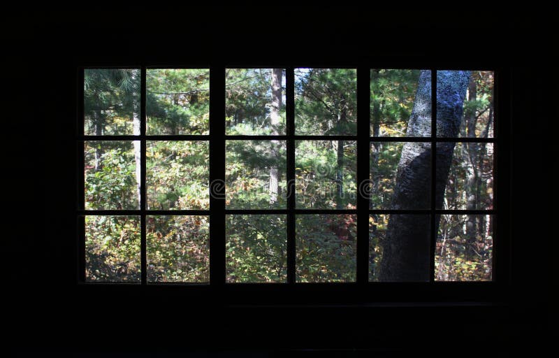A Forest in a Window stock image. Image of black, outdoor - 102905483