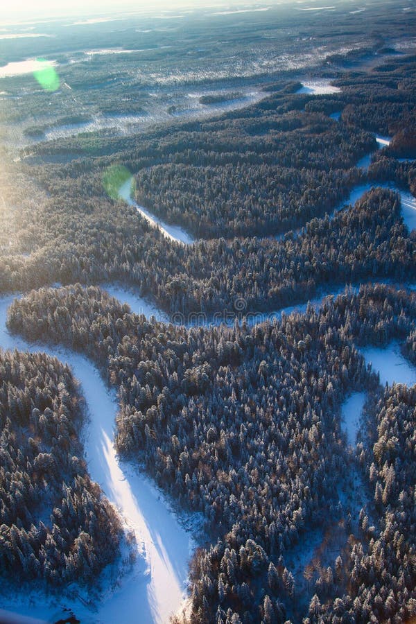 Forest in winter, top view stock photo. Image of beautiful - 83655334