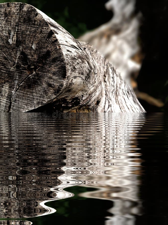 Forest Wood Log Abstract Background Art Stock Illustration ...