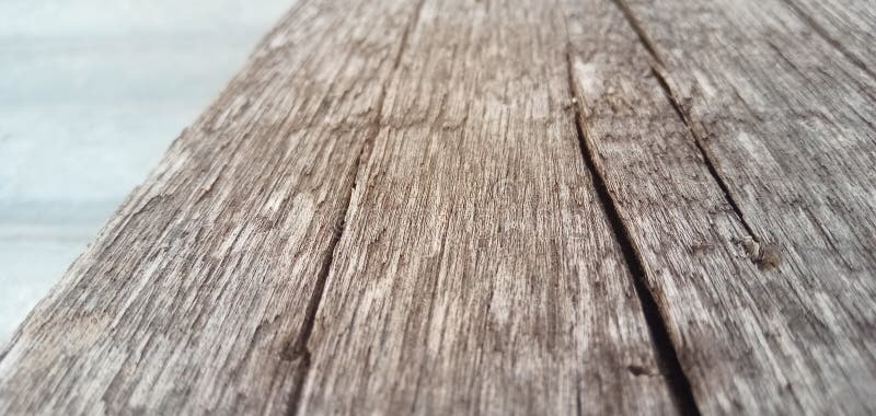 The forest wood texture stock photo. Image of handcrafted - 223172988