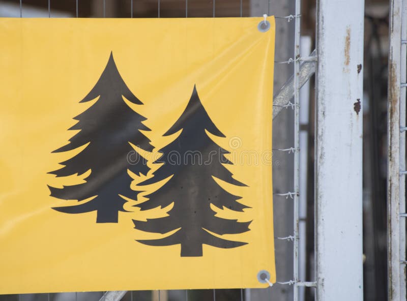 Forest,wood,and Timber are Part of an Produktion Stock Photo - Image of ...