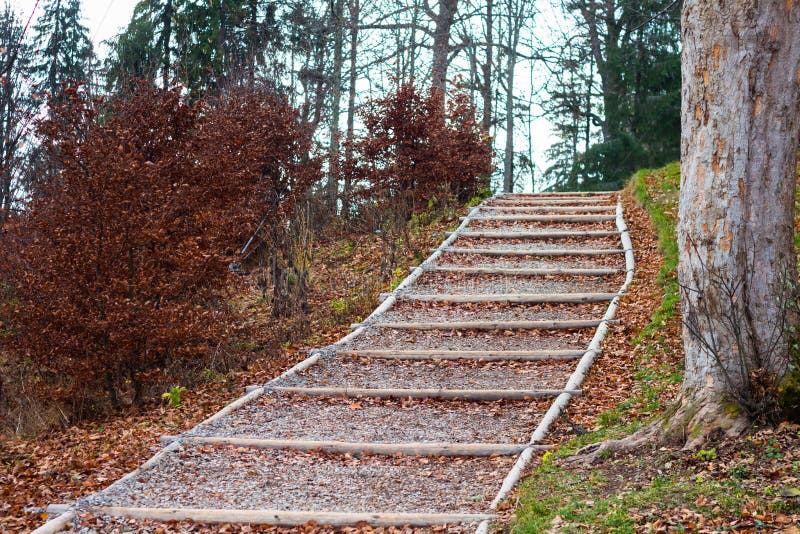 Forest Wooden Steps at Autumn Leaves Stock Image - Image of colorful ...
