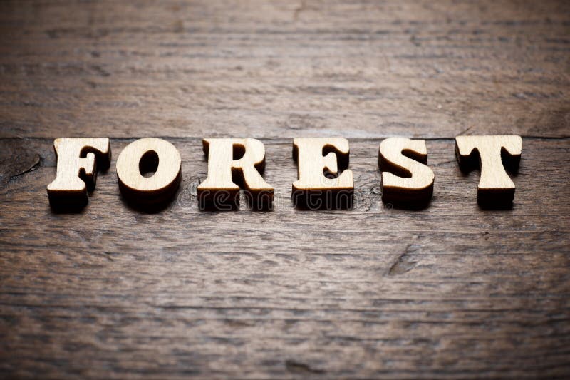 Forest word view stock photo. Image of panel, fashioned - 179620938
