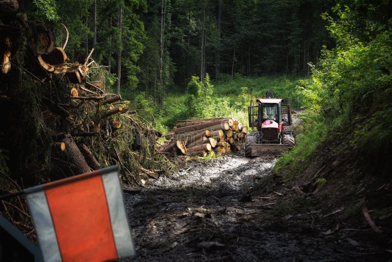 Forest Work in the Berchtesgadener Land Stock Photo - Image of timber ...