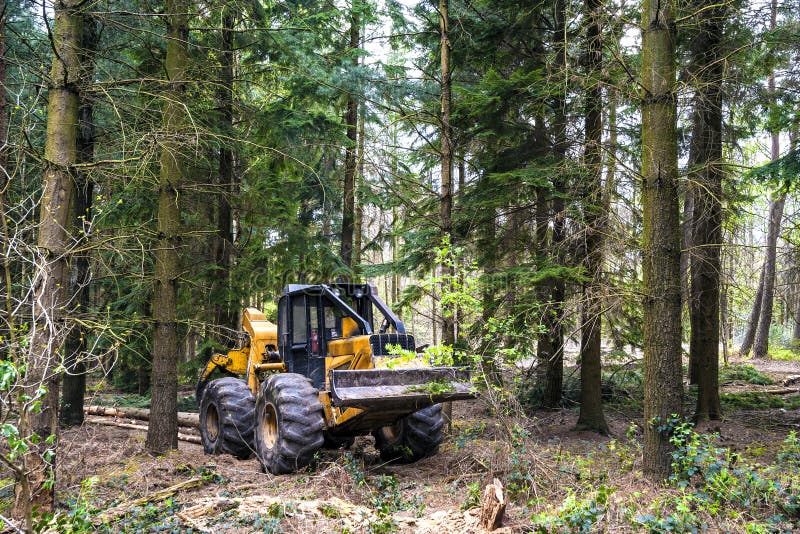 Skidder Hauling Spruce Tree Stock Image - Image of equipment ...