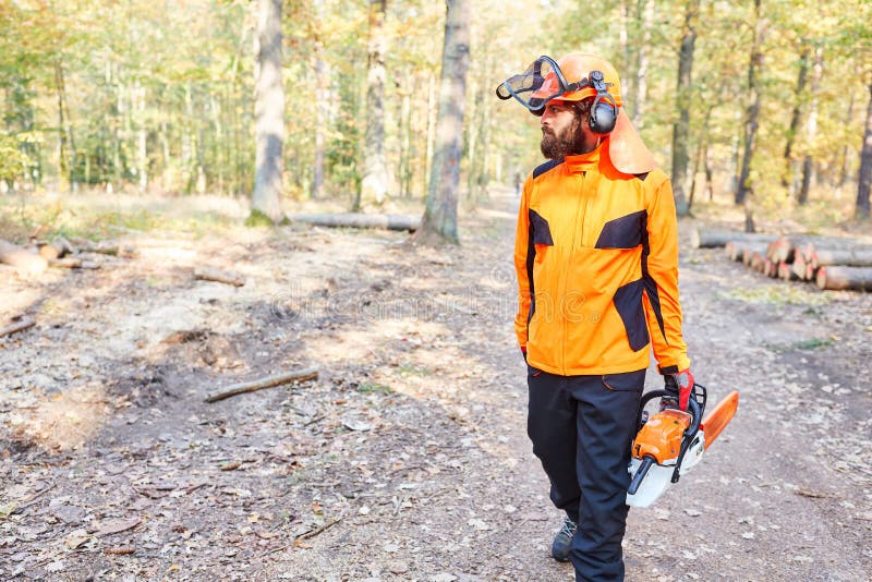 Forest Worker As a Woodcutter with Chainsaw Stock Photo - Image of ...