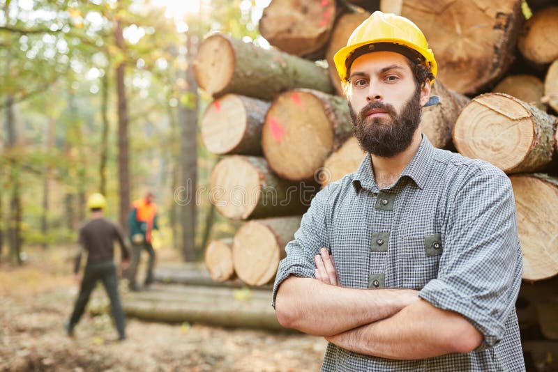 Forest Workers Loading Long Logs Stock Photo - Image of harvesting ...