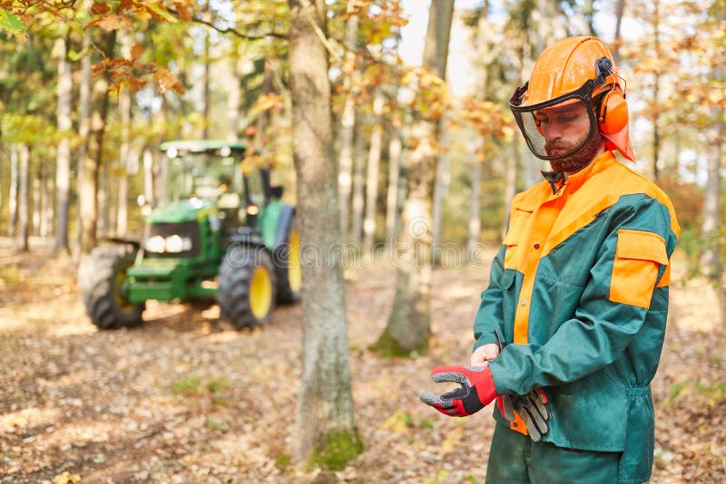 Forest Workers in Protective Equipment for Occupational Safety Stock ...