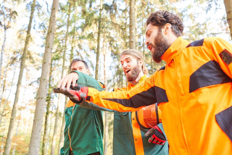 Forest Workers Team Stacks Hands for Teambuilding Stock Photo - Image ...