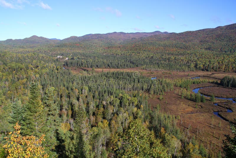 Foresta boreale del Canada fotografia stock. Immagine di canada - 69477440