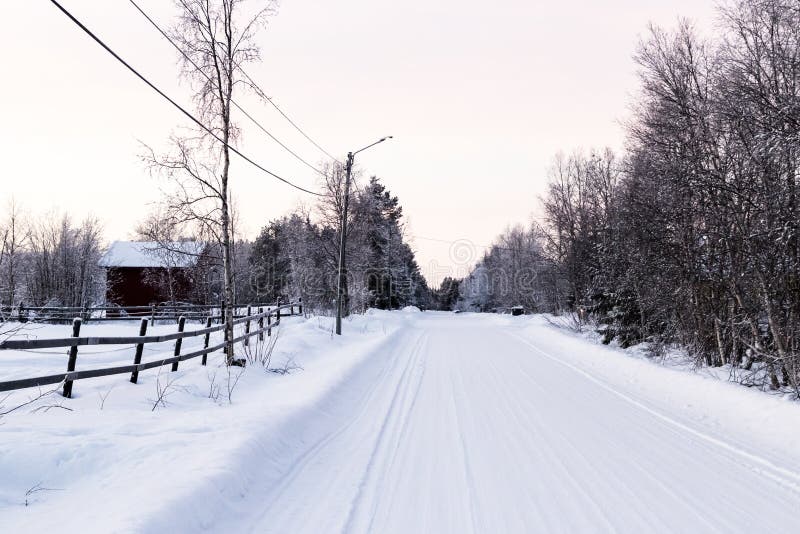 Foresta Innevata in Svezia Del Nord Fotografia Stock - Immagine di nave ...