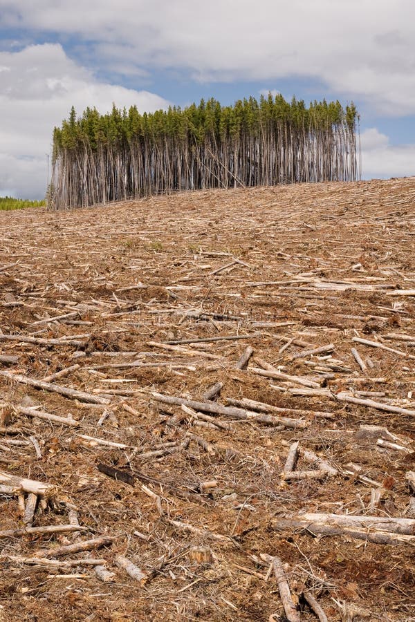 1,954 Annotato Foto stock - Foto stock gratuite e royalty free da ...