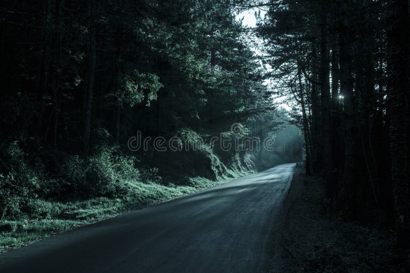 Foresta Scura Con La Strada Vuota Alla Luce Retrocedere Immagine Stock ...