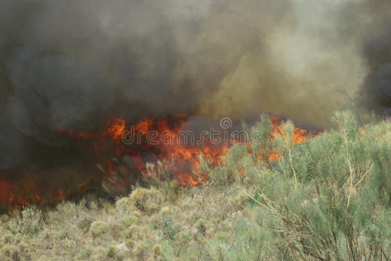 Forestall fire stock photo. Image of burnt, destroy - 173749832