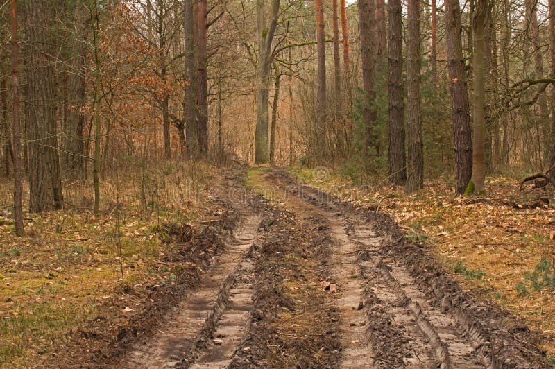 187 Road Deep Ruts Stock Photos - Free & Royalty-Free Stock Photos from ...