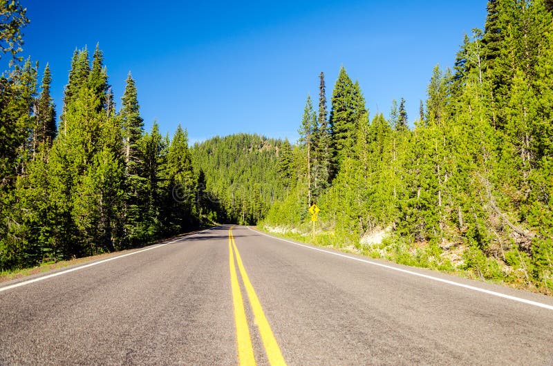 Forested Highway stock image. Image of scenery, asphalt - 31925229