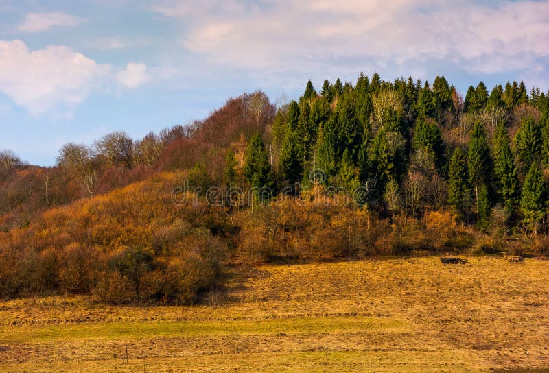 Forested Hill in Springtime Stock Photo - Image of grass, forested ...