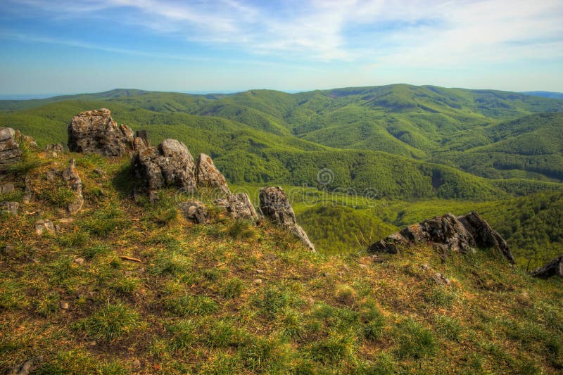 Forested Hills Valley stock image. Image of valley, design - 53427169