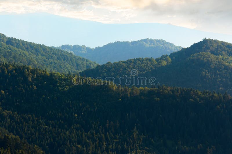Forested mountain ridge stock image. Image of mountain - 237428533