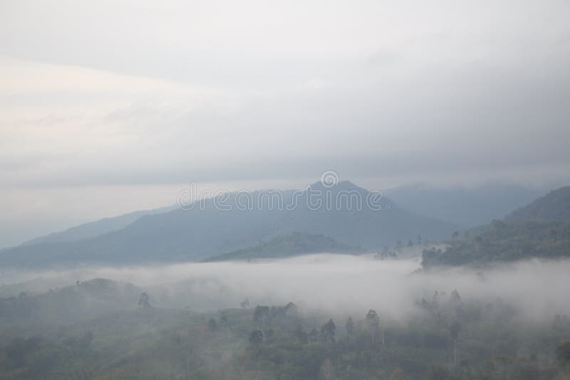 Forested Mountain Shrouded in Mist a Scenic Landscape View Stock Photo ...