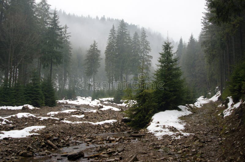 Forested Mountain Slope and River in Low Lying Cloud Stock Image ...