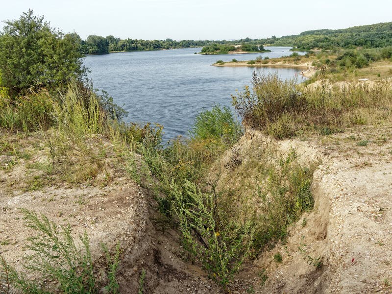 Forested River Banks in Summer Stock Image - Image of freshness, nature ...