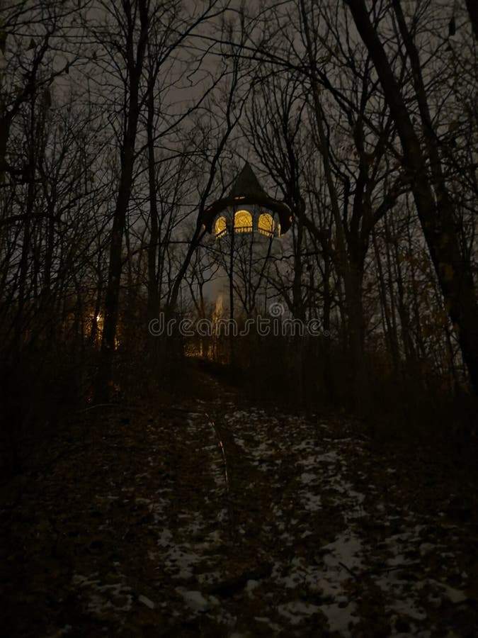 Forested Trail at Night with Prospect Park Tower Stock Image - Image of ...