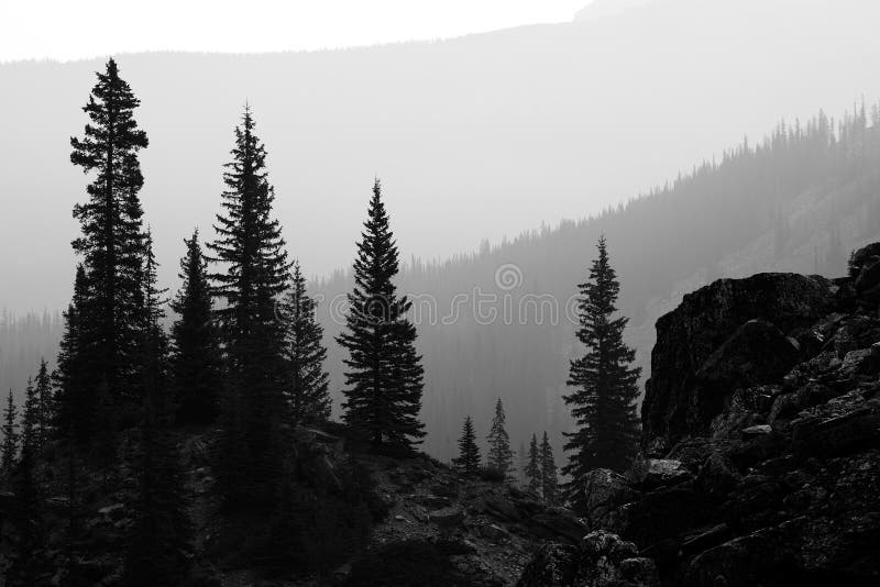 Forested Valley Canadian Rockies Stock Photo - Image of mountains ...