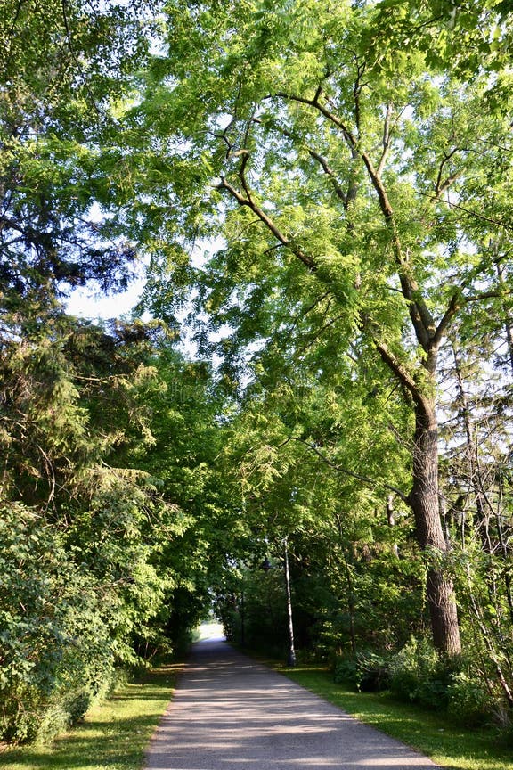 199 Colonel Walking Stock Photos - Free & Royalty-Free Stock Photos ...