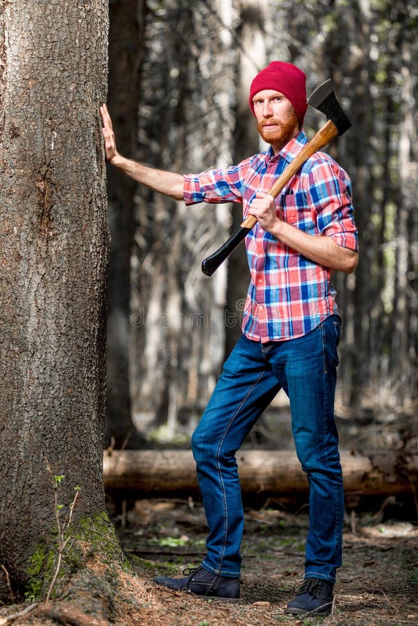 Forester Checks the Condition of Trees in the Forest Stock Image ...