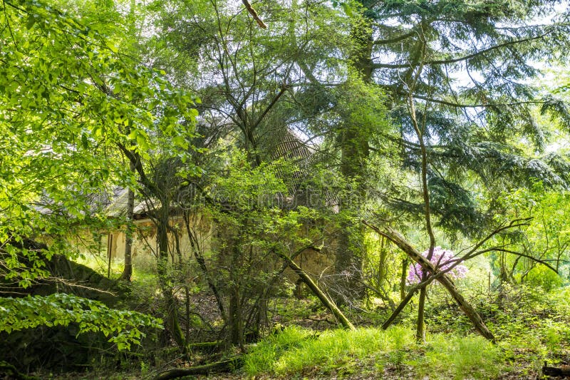 Forester S House in the Middle of a Spring Forest in the Czech Republic ...