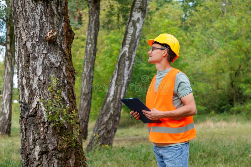Forester Worker Learning Plants. Engineer Ecologist Man in the Forest ...