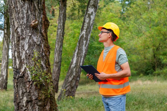 Forester Worker Learning Plants. Engineer Ecologist Man in the Forest ...